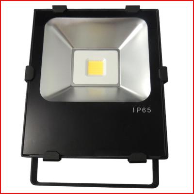 China High Intensity Outdoor Dimmable LED Flood Lights 50W COB For Factoy for sale