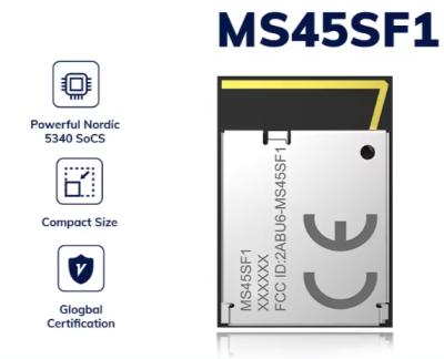 China Wireless Flexible Dual-core Nordic nRF5340 Low Energy Bluetooth Mesh NFC Thread Zigbee PCB BLE 5.3 Module for sale