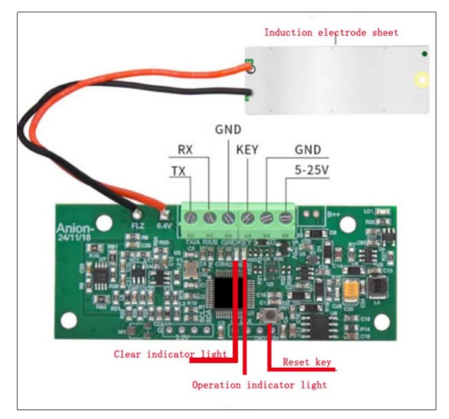 Negative ion detection module