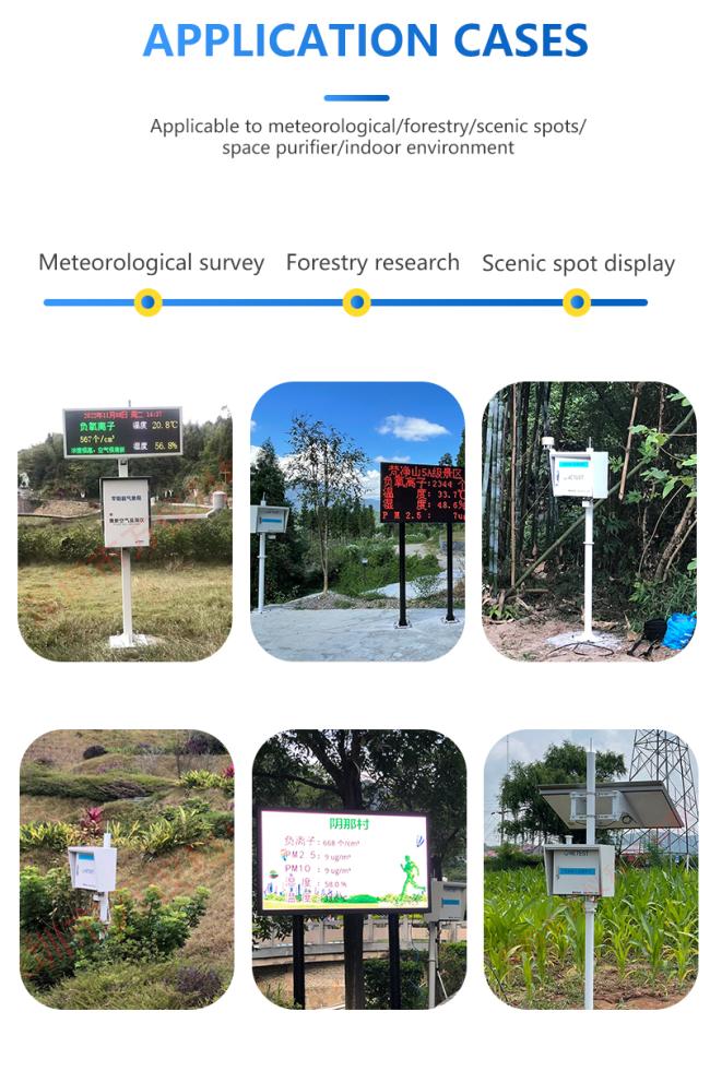 Negative Oxygen Ion Sensor Case