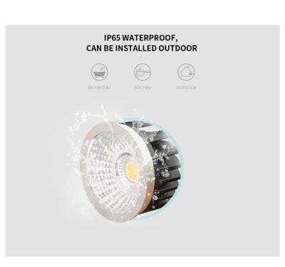 China 3000K COB LED MR16 Modulo Ultra Thin Downlight para iluminação comercial à venda