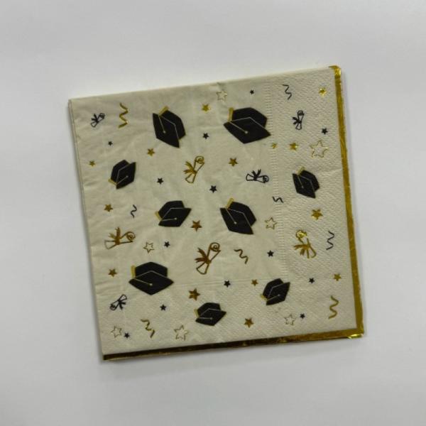 Quality Customizable Disposable Dinner Napkins 30x30cm 18gsm Luxury Paper Dinner Napkins for sale