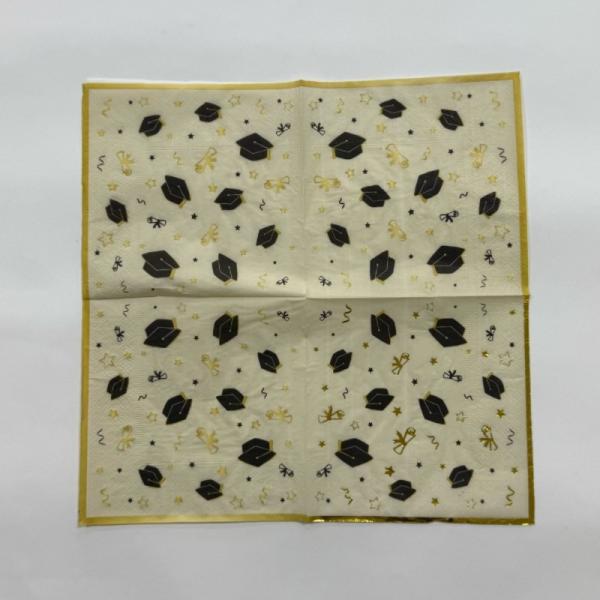 Quality Customizable Disposable Dinner Napkins 30x30cm 18gsm Luxury Paper Dinner Napkins for sale
