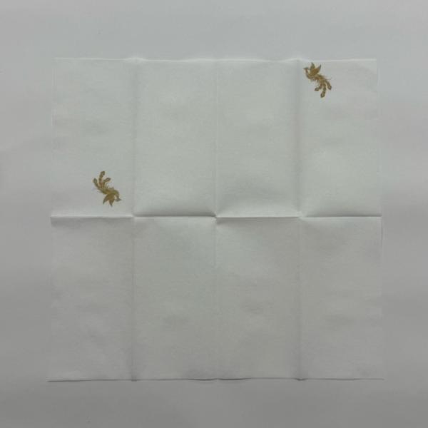 Quality Food Grade Airlaid Paper Napkins 42*42cm 2 Ply Customized Paper Napkins for sale
