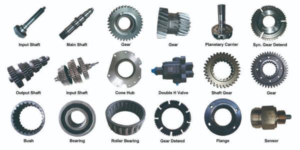 Quality Shaanxi Car Fitment Differential Assembly 3335549 4336659 Spare Parts for for sale