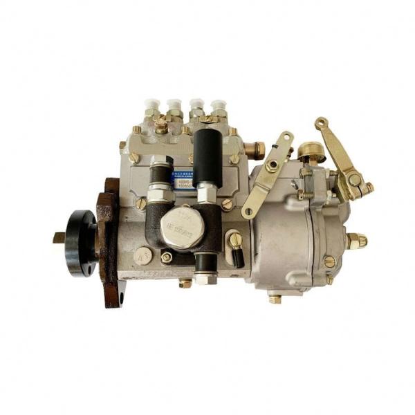 Quality Sinotruk Howo Truck Yuchai 1YC4D130-48 Engine Parts D7300-1111010-351 Fuel Injection Pump for sale