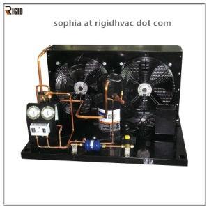 China 13HP condenser unit/ac condenser unit/air condenser unit/chiller/refrigeration unit/condensing unit/heating and cooling for sale