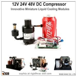 China 48V Miniature Cooler Compressor for Fluid Chiller and Cooler/refrigeration compressor/rotary compressor for sale
