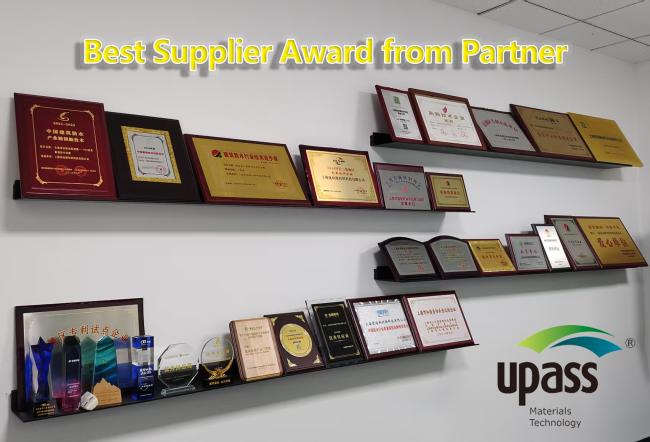 International exhibition participation