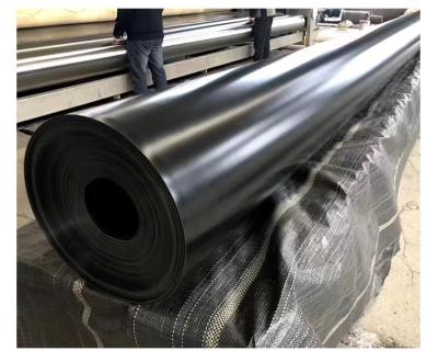 China HDPE Geomembrane Liner Anti-Seepage Plastic Film for Pool Lake River Agriculture Dam Landfill Fish Farming Tank Molding for sale