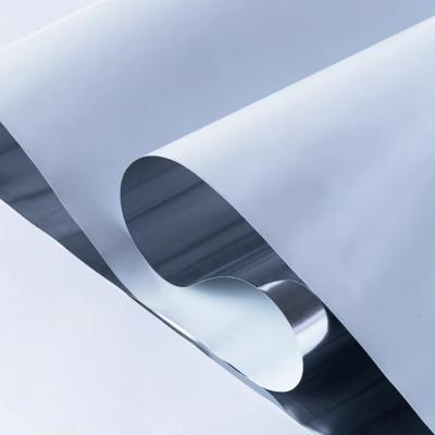 China Explosive Models Alloy Modified PE Membrane Durable Metallic Membrane Film Plastic Blow Molding Casting Services Available MOQ for sale