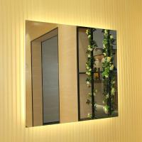 China Backlit Wall Mounted Vanity Mirror Dimmable Lighting Moisture Resistance for sale