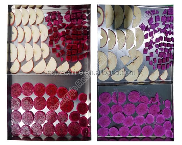 Freeze dryer machine operation demonstration