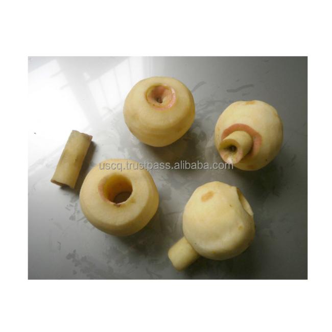 Close-up of apple being processed in the machine