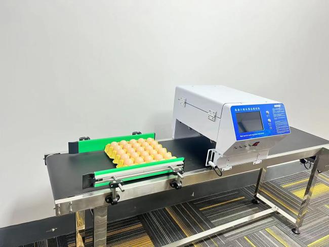 Egg printing machine printing expiration dates on multiple eggs simultaneously