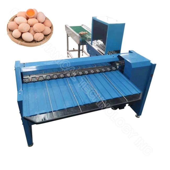 Automatic egg grading machine in operation