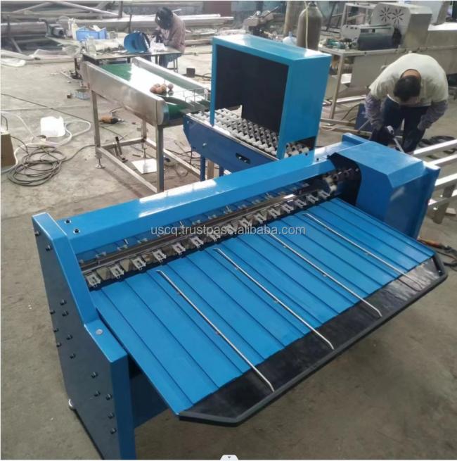 Egg grading machine side view