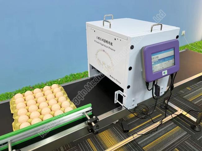 Technical components of egg printing machine