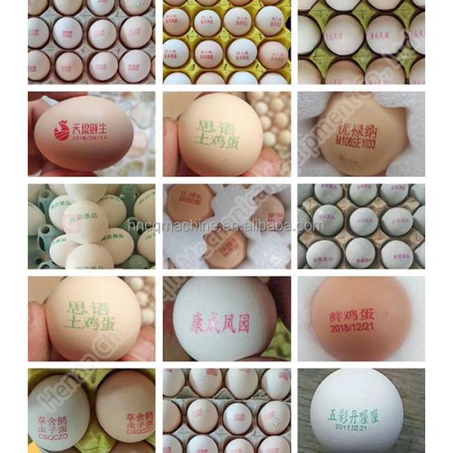 Egg printing machine in production environment