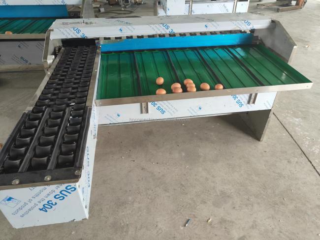 Related industrial food processing equipment