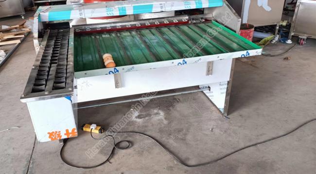 Egg grading machine side operation view