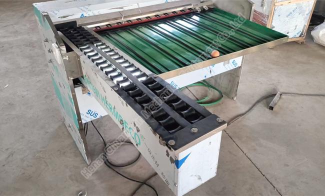 Close-up of egg sorting mechanism
