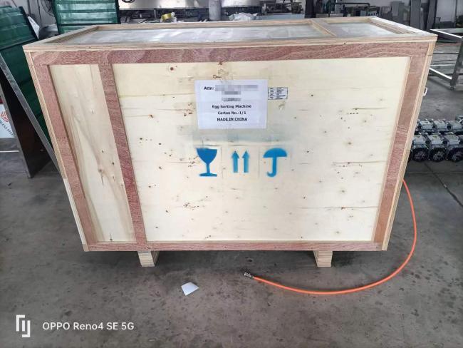 Standard wooden packaging for egg sorting machine