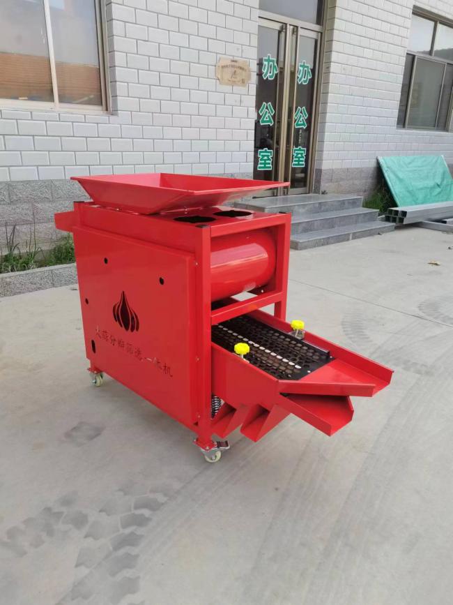 Garlic separating machine operation view