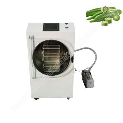 China Continuous Vacuum Food Dryer Candy Fruit Strawberry Lyophilization Equipment for sale