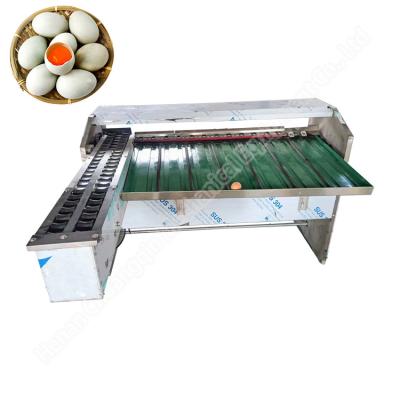 China Commercial Small Scale Egg Processing Machine Grader Weight Sorting Line for sale