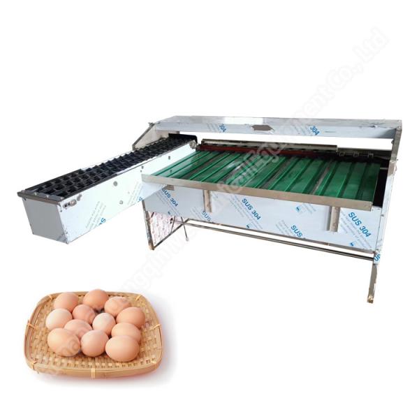 Quality Commercial Small Scale Egg Processing Machine Grader Weight Sorting Line for sale