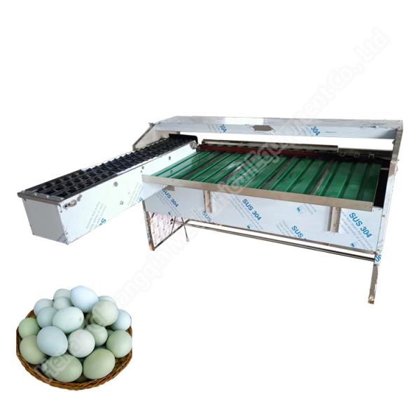 Quality Commercial Small Scale Egg Processing Machine Grader Weight Sorting Line for sale