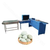 China Automatic Small Scale Egg Grading Machine Weight Classify Sorter 200w For Farming for sale
