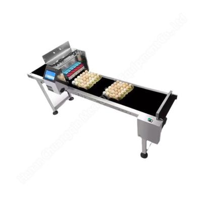 China Automatische Elektrische Eierverwerkingsmachine Codeer Karton Afdrukken 60kg 100w Te koop