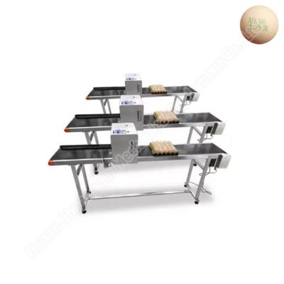 China Automatic Electric Egg Processing Machine Coding Carton Printing 60kg 100w for sale
