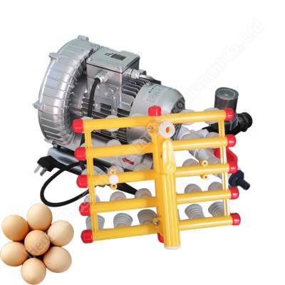 China Farm Vacuum Egg Processing Machine Lifter Sucker 30pcs 60pcs for sale