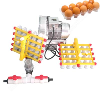 China Farm Vacuum Egg Processing Machine Lifter Sucker 30pcs 60pcs for sale