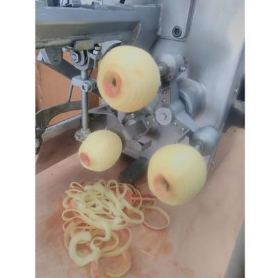China 180W Electric Vegetable Processing Machinery Apple Peeler And Corer 8-10pcs/min for sale