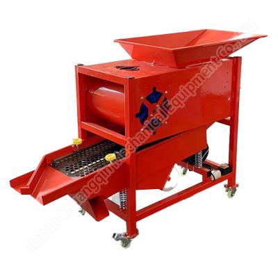 China OEM Vertical Vegetable Processing Machinery Garlic Lahsun Grading for sale