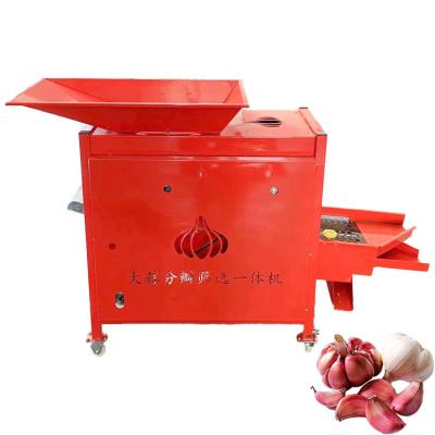 China 380V Electric Garlic Clove Separating Machine Four Stage Grading splitting 180kg for sale