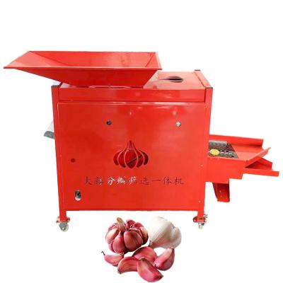 China 380V Electric Garlic Clove Separating Machine Four Stage Grading splitting 180kg for sale