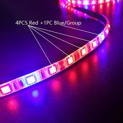 China 24v Grow Lights for Indoor Plants, Full Spectrum led Grow Light Plant Light for Indoor Plants with Red+Blue+Sunlike for sale
