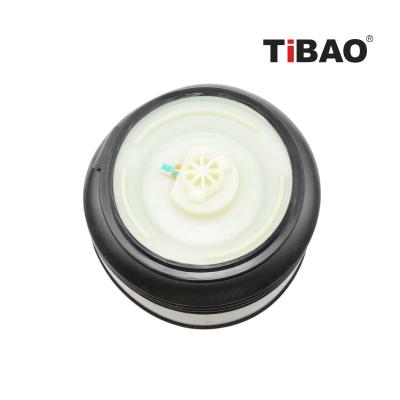 Cina Ammortizzatore 37126790078 37126790079 della sospensione dell'aria di BMW X5 E70 in vendita