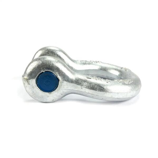 Quality Custom Lifting Lyre Shackles Galvanized Forged Anchor Shackle by OEM Steel for sale