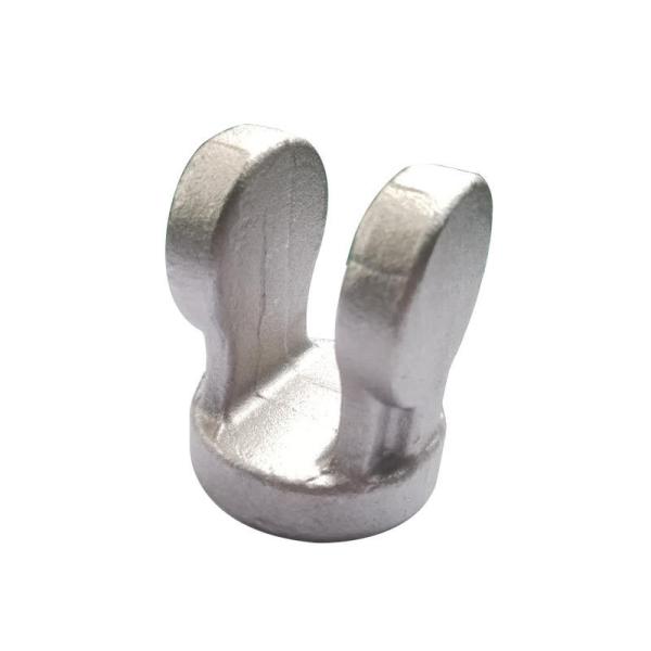 Quality High Precision Forged Parts of Hot Die Forging Process for Engine Pump Body for sale
