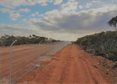 China HD Galvanized 50*50mm Diamond Chain Link Fence for sale