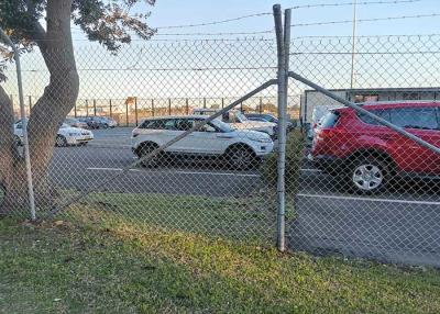 China Selvage Knuckled edge H1730mm Diamond Pvc Chain Link Fencing for sale