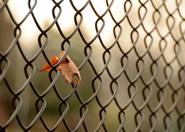 Quality Uniform Mesh Hole 3mm Green Chain Link Fence for sale