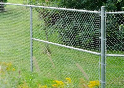 Quality Trellis Chainlink Football Q195 Garden Wire Mesh Fencing for sale