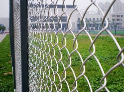 China 9 Gauge 3mm Post 6ft 7ft 8ft Pvc Diamond Mesh Fencing for sale